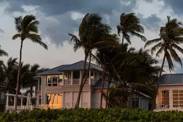 What to Look for in Hurricane Impact Windows | Renuity